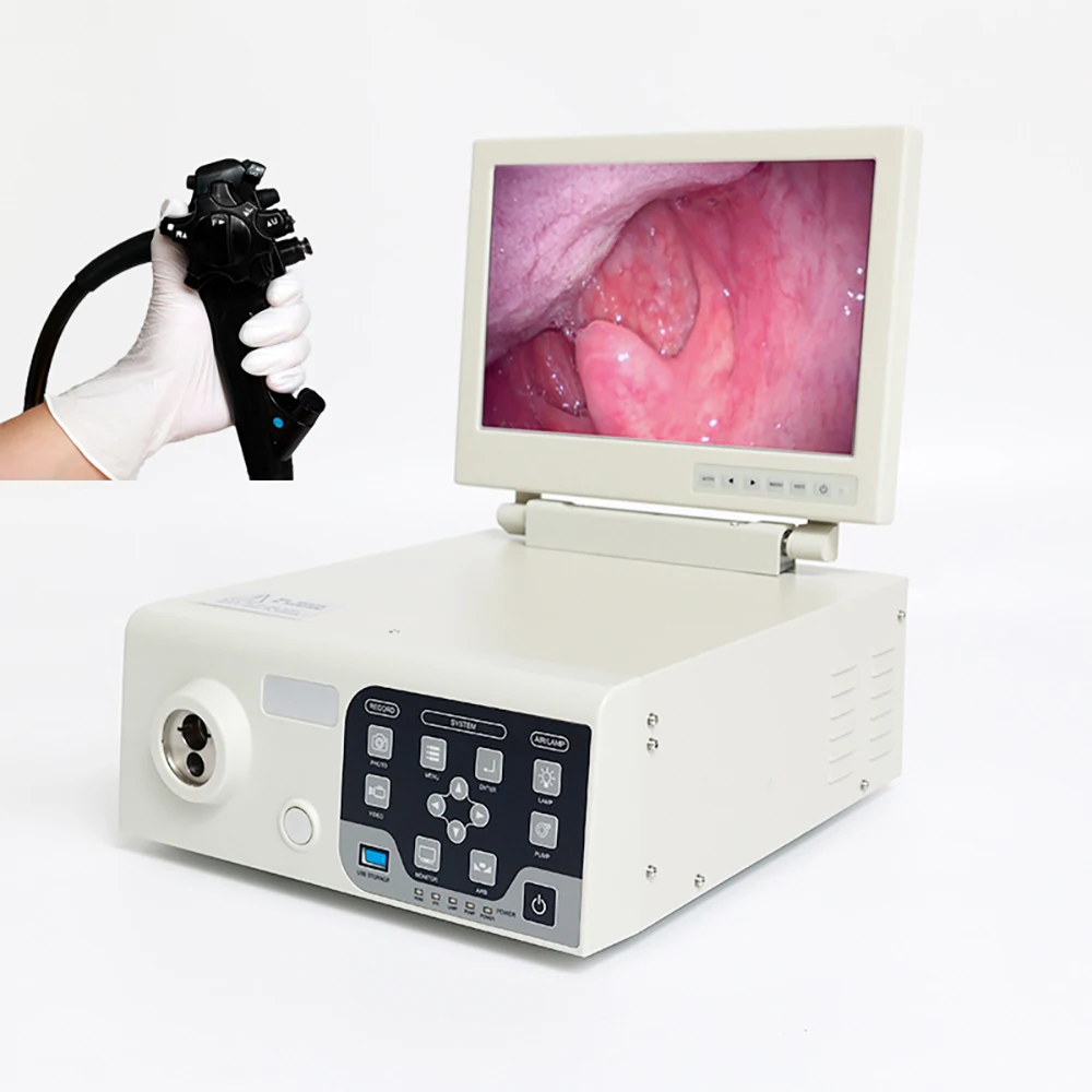 High Quality Portable Veterinary Endoscope Gastrointestinal Endoscopy ...
