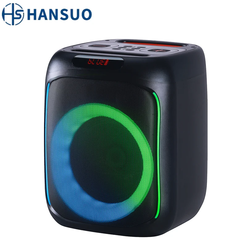 HANSUO Outdoor Subwoofer - Portable Wireless Karaoke Speakers