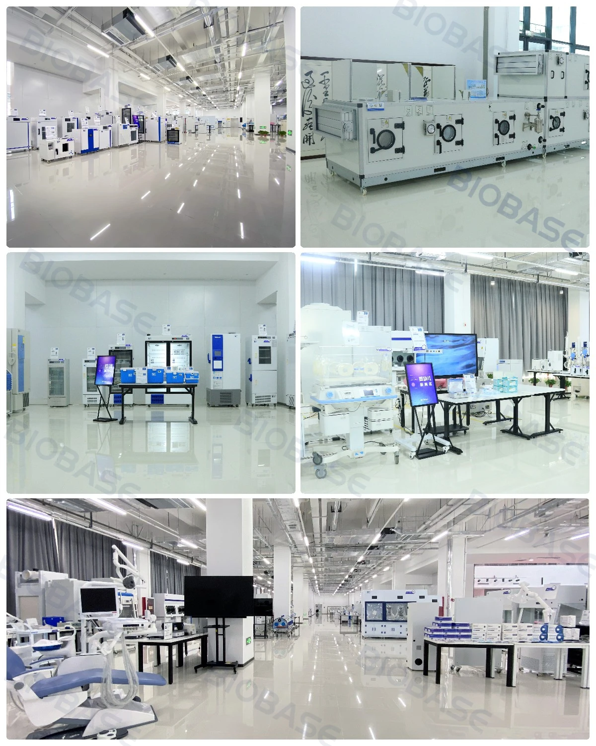 Biobase China Chicken Isolator With Filtration Lab Equipment Chicken ...