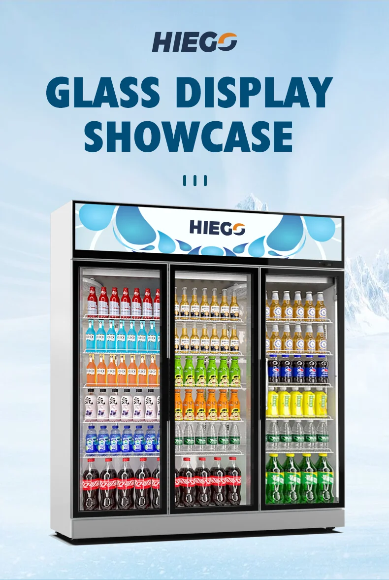 Single Door Upright Chillers Display Refrigerators Glass Door Display ...