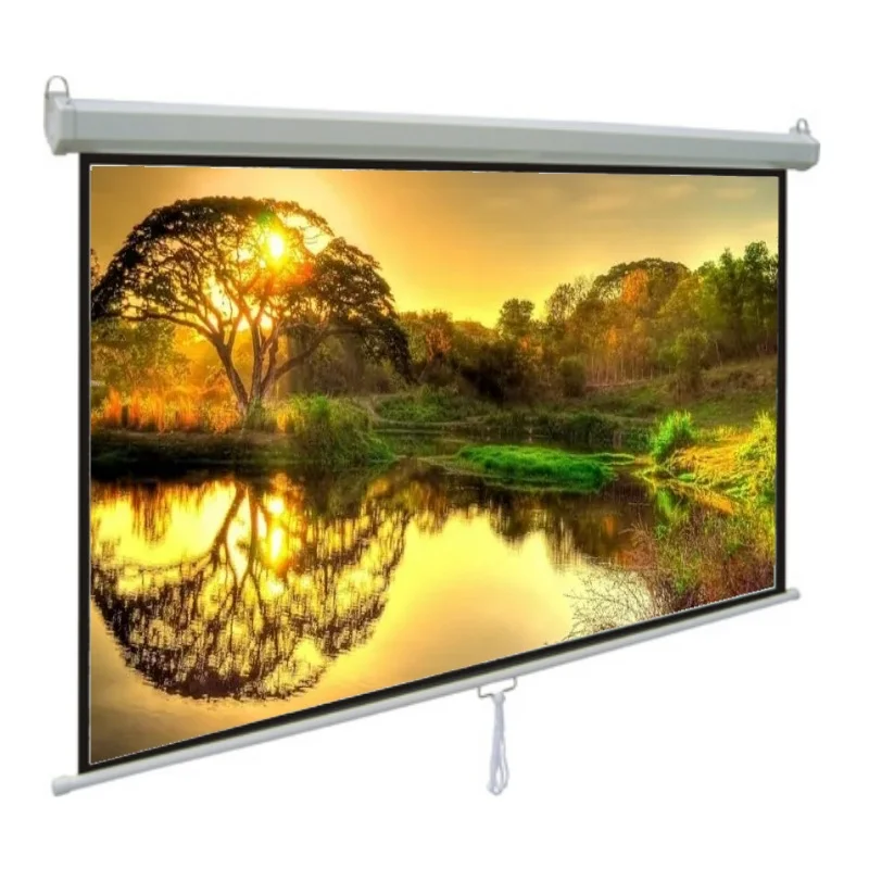 TELON 150" Matte White HD Projection Display for Home and Office Use ...