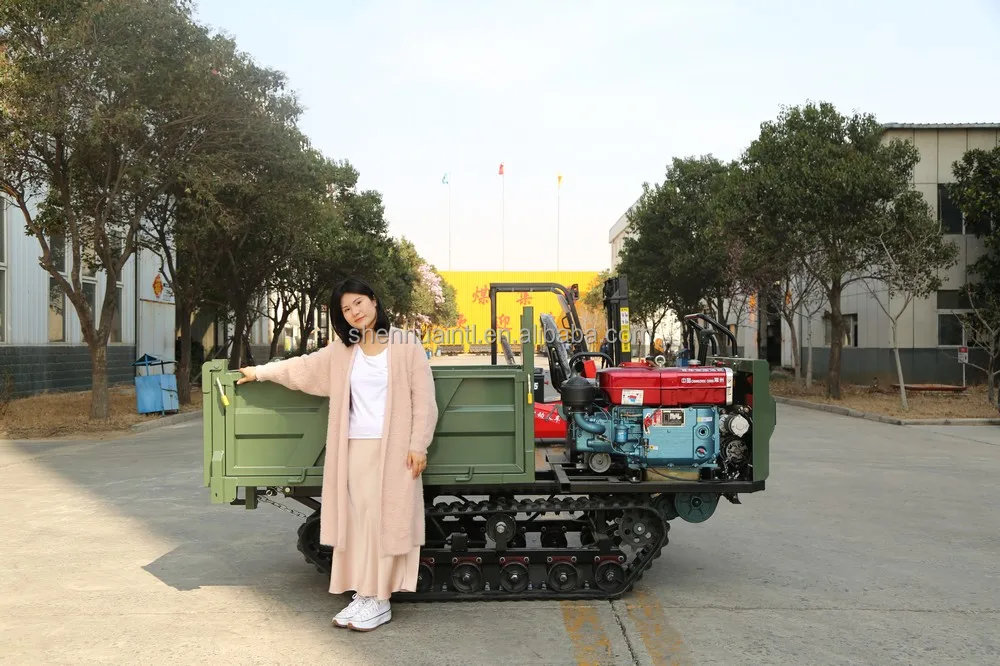 Best Selling Crawler Transport Vehicles CE Approved Walking Small Dump ...