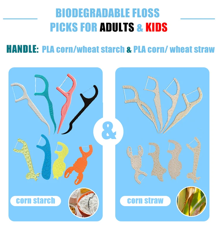 30 Pcs PLA Handle Natural Biodegradable Floss Picks Eco Friendly Silk ...