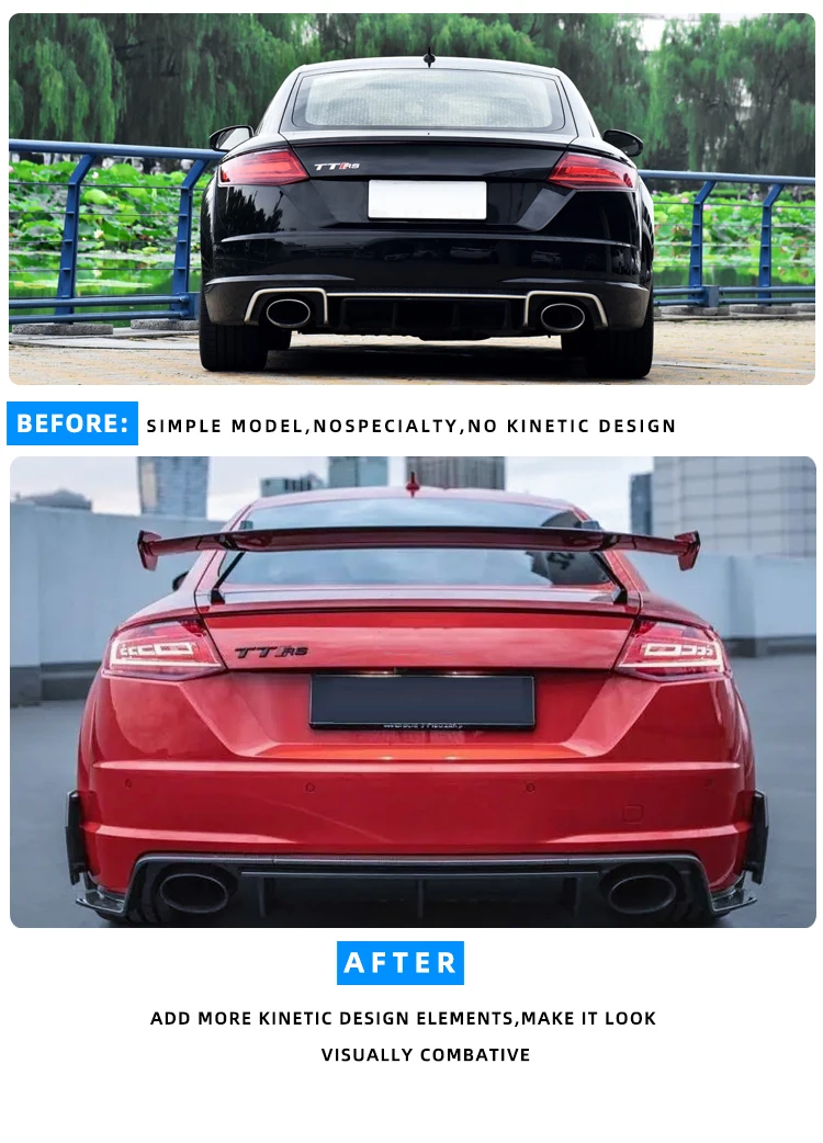 Audi TTRS MK3 Carbon Fiber Rear Bumper Lip Diffuser & Spats ODM