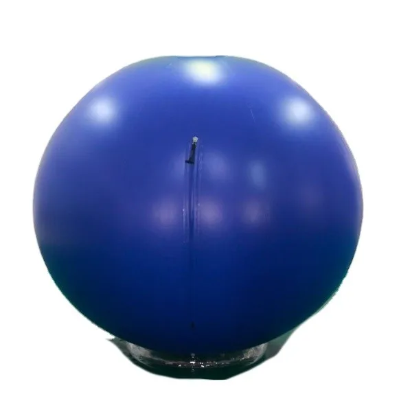 Funny Inflatable Ball Game Suit Balloons Custom Inflation Blueberry ...