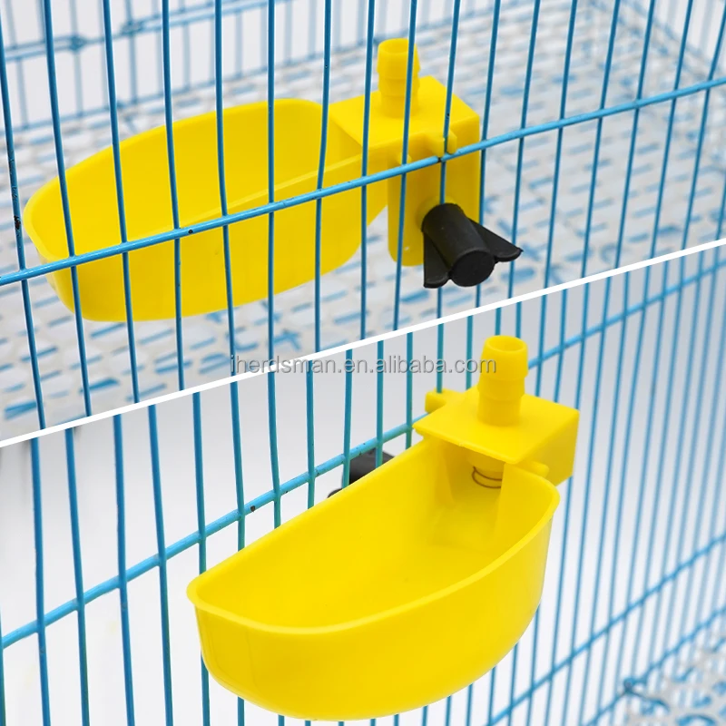 Quail Drinking Bowls - Efficient and Eco-Friendly Solutions