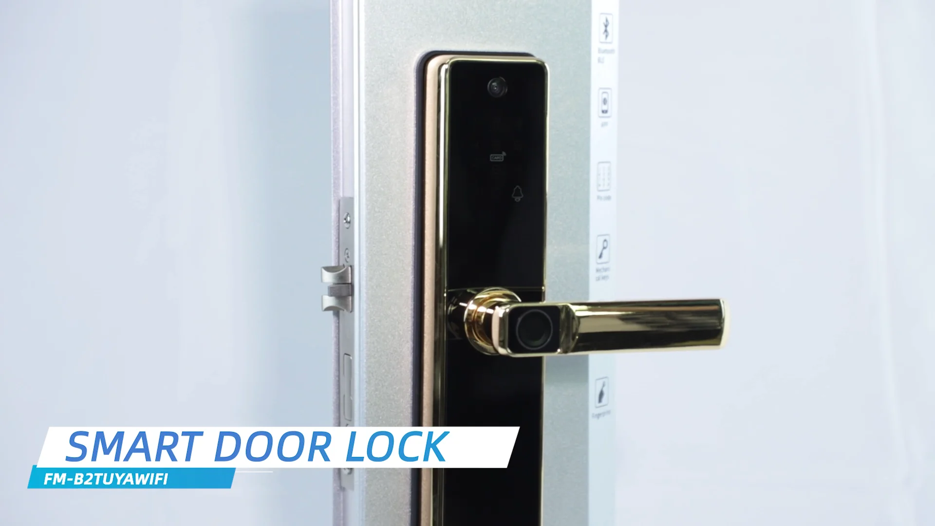 Multi Point Digital Fingerprint Ttlock Tuya App Smart Door Lock With ...
