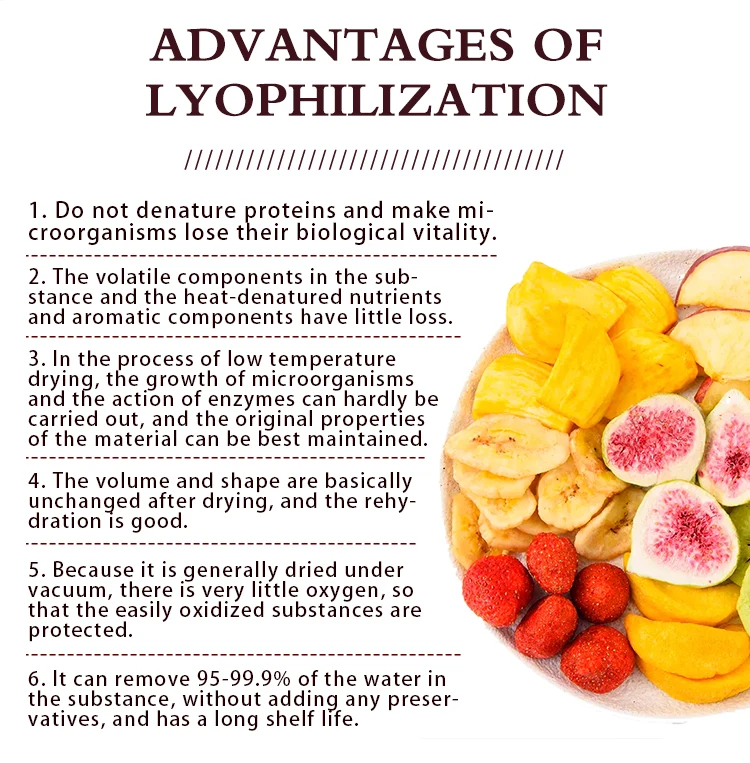 TCA Automatic Coffee Lyophilizer - High Productivity