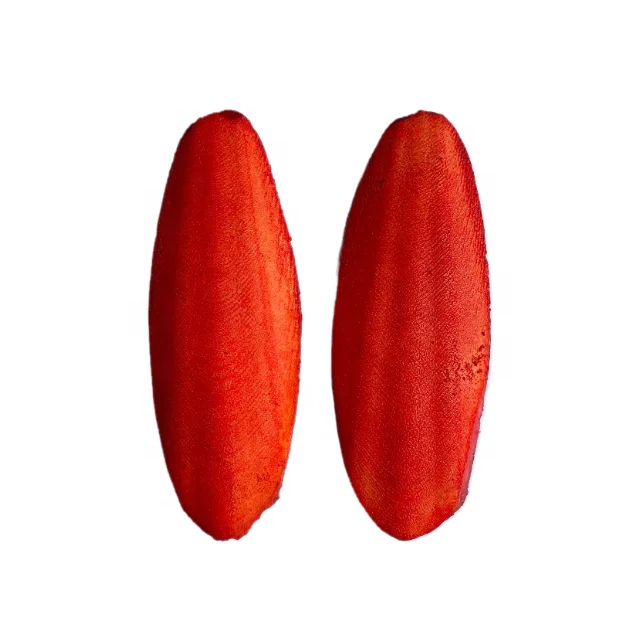 BEST SELLER FLAVOR DRIED CUTTLEFISH BONE SEPIA SHELL SINGLE/ DOUBLE in ...