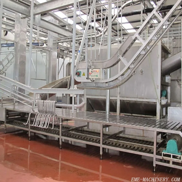 Pig Abattoir Butcher Machine Slaughtering Equipmentpig Bleeding Slope ...