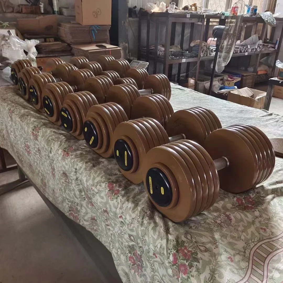 JOLECON Fixed Weights Cast Iron Dumbbell Set for Bodybuilding