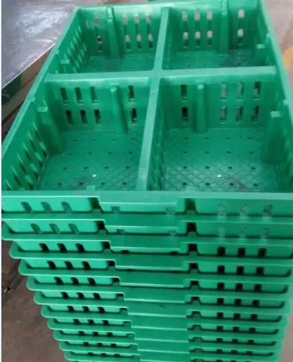 Chicks Transport Basket - Durable & Customizable Solutions