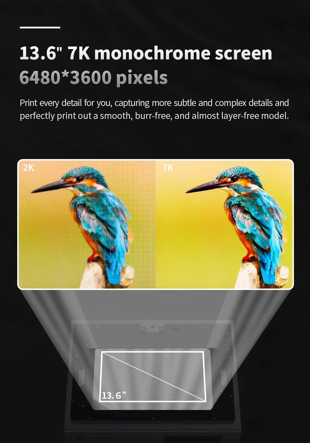 Creality Pionext D136 Dental 3D Printing - Precision & Speed