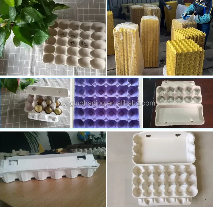 Mesh for Egg Tray Molds - Durable & Customized Solutions