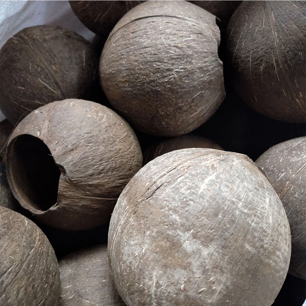 Original Natural Unprocessed 100% Natural Durable Coconut Bowl - Buy ...