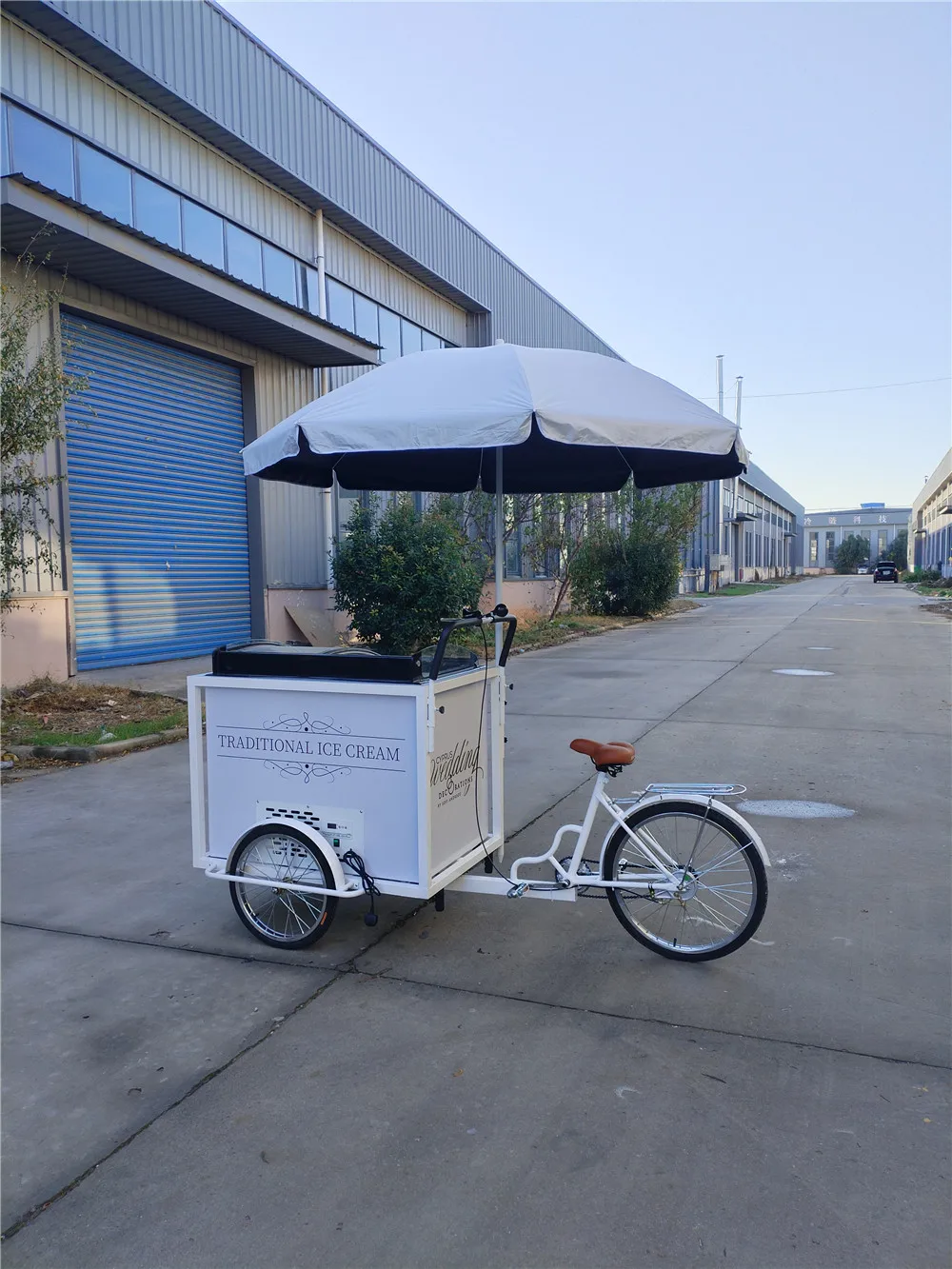 Mobile Ice Cream Display Cart - Perfect for Vending Snacks