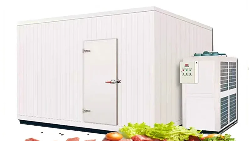 Customized Walk-in Cold Room Storage Energy-saving Chiller With Bitzer ...