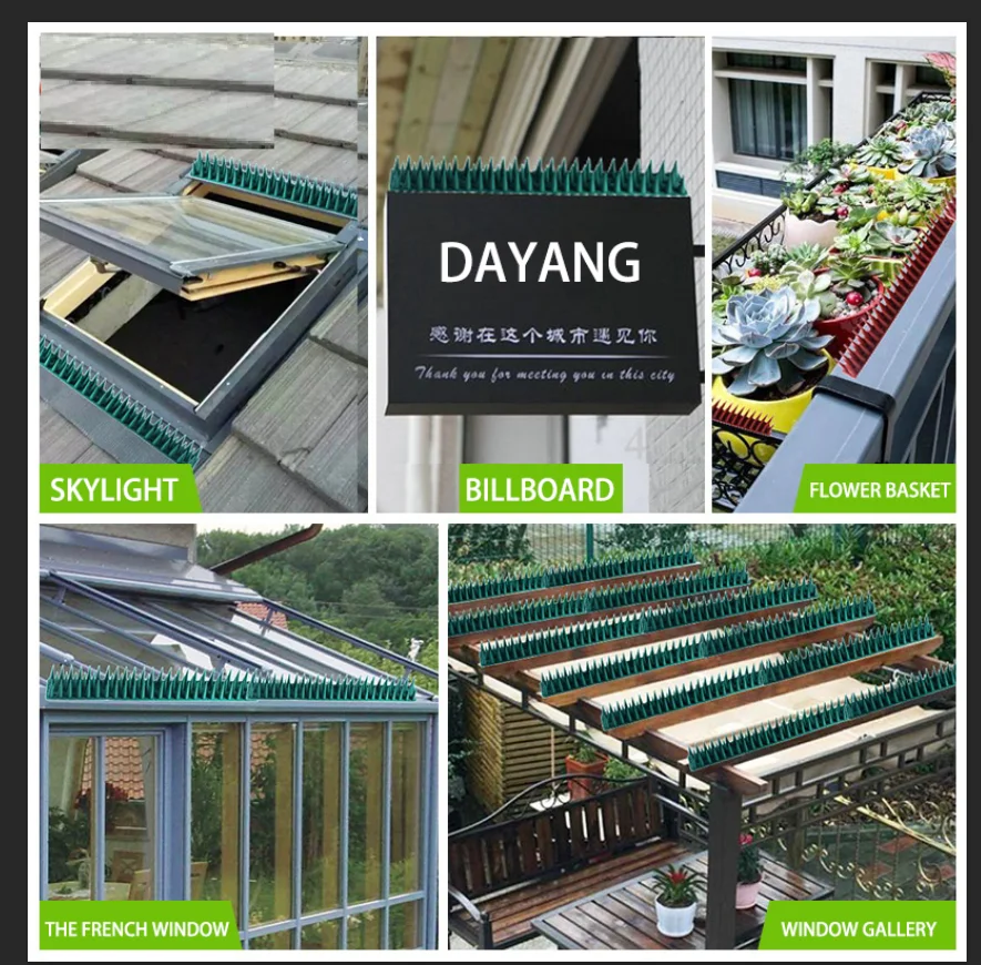 Dayoung Bird Control - Effective Garden Pigeon Deterrent