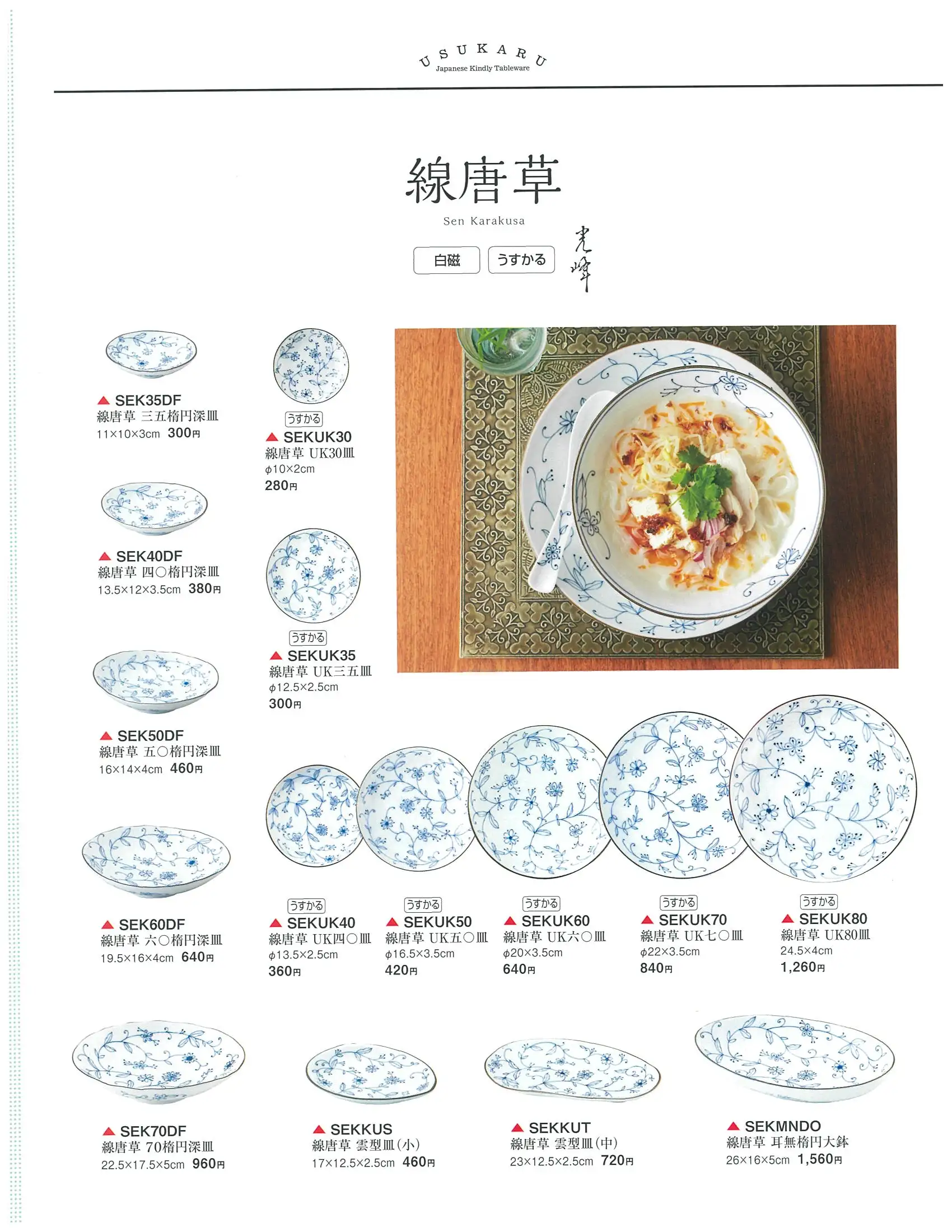 Japanese Dinnerware Set - Fine Dining Crockery 22cm Porcelain Plates