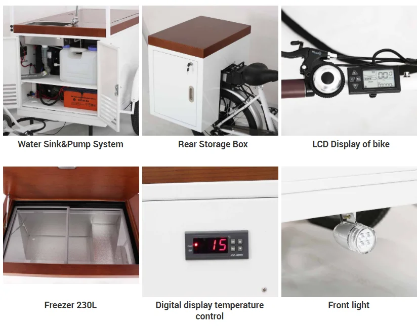 OEM Summer Holiday Cargo Freezer Bike for Vending Ice Cream
