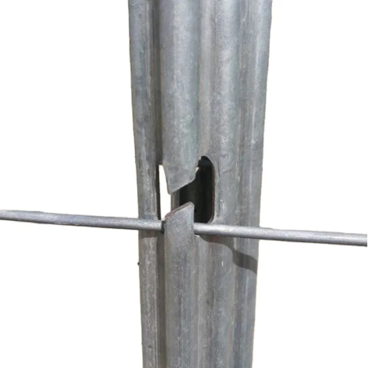 Grape Stakes Vineyard Orchard Post Galvanized Vineyard Pole