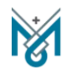 Company Overview - Shanghai Momo Medical Device Co., Ltd.