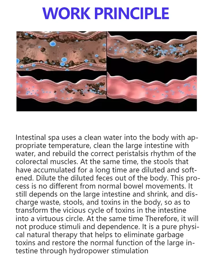 2026 High QualityColon Cleanse Colon Hydrotherapy Equipment Colonic ...