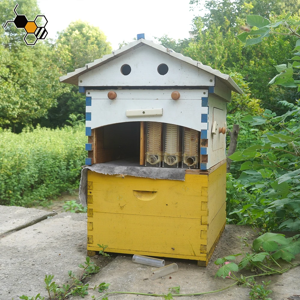 Auto Flows Beehive - Automatic Wooden Bee Hive House