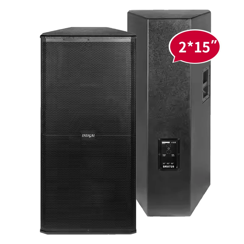 Dual 15 Inch Professional Speakers Sub Woofer Professional Passive ...