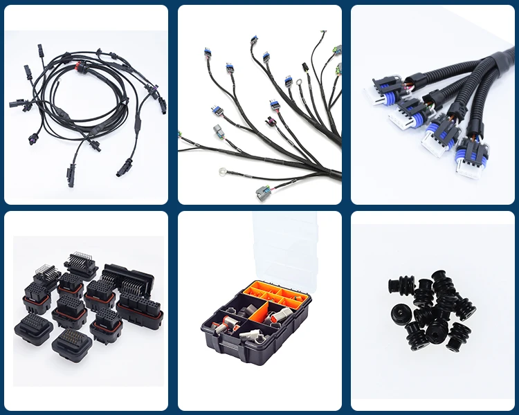 Custom 2 Pin Female & Male Waterproof Connector Fuse Automotive Wire ...