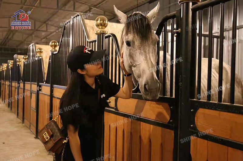 Steel Portable Movable Horse Stables Temporary Horse Stalls - Buy Horse ...