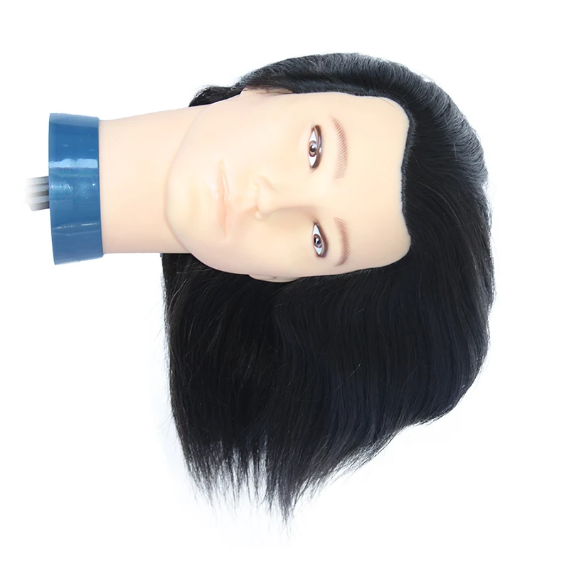 Wholesale 8inch Male Training Head,100% Real Human Hair Practice Head ...