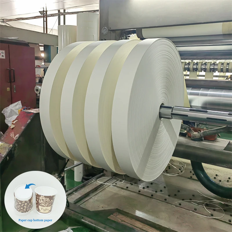 150-320gsm Pe Coated Paper Roll Bottom Paper Roll For Making 100% ...