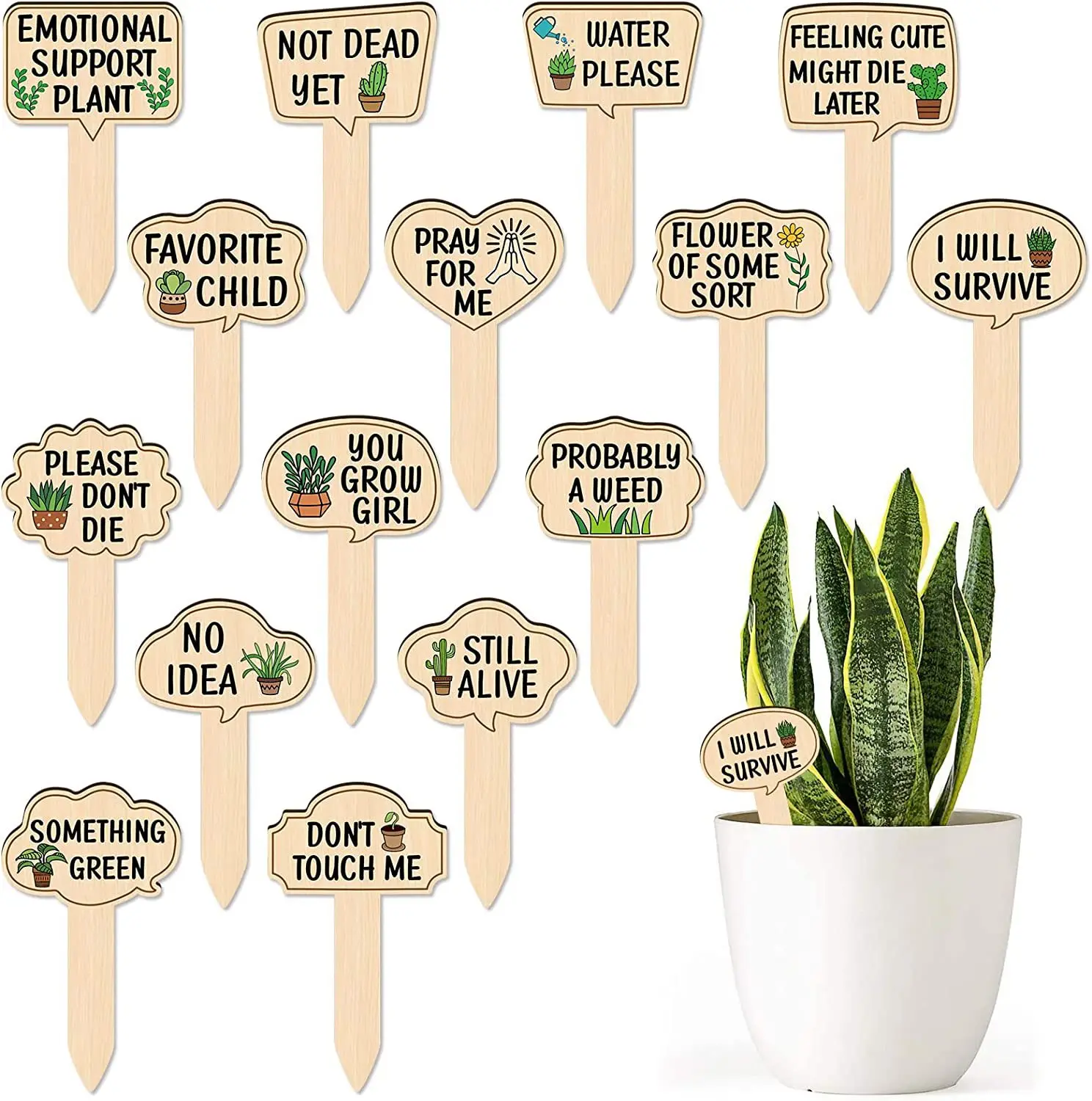 Funny Plant Markers - Custom Wooden Labels for Gardens