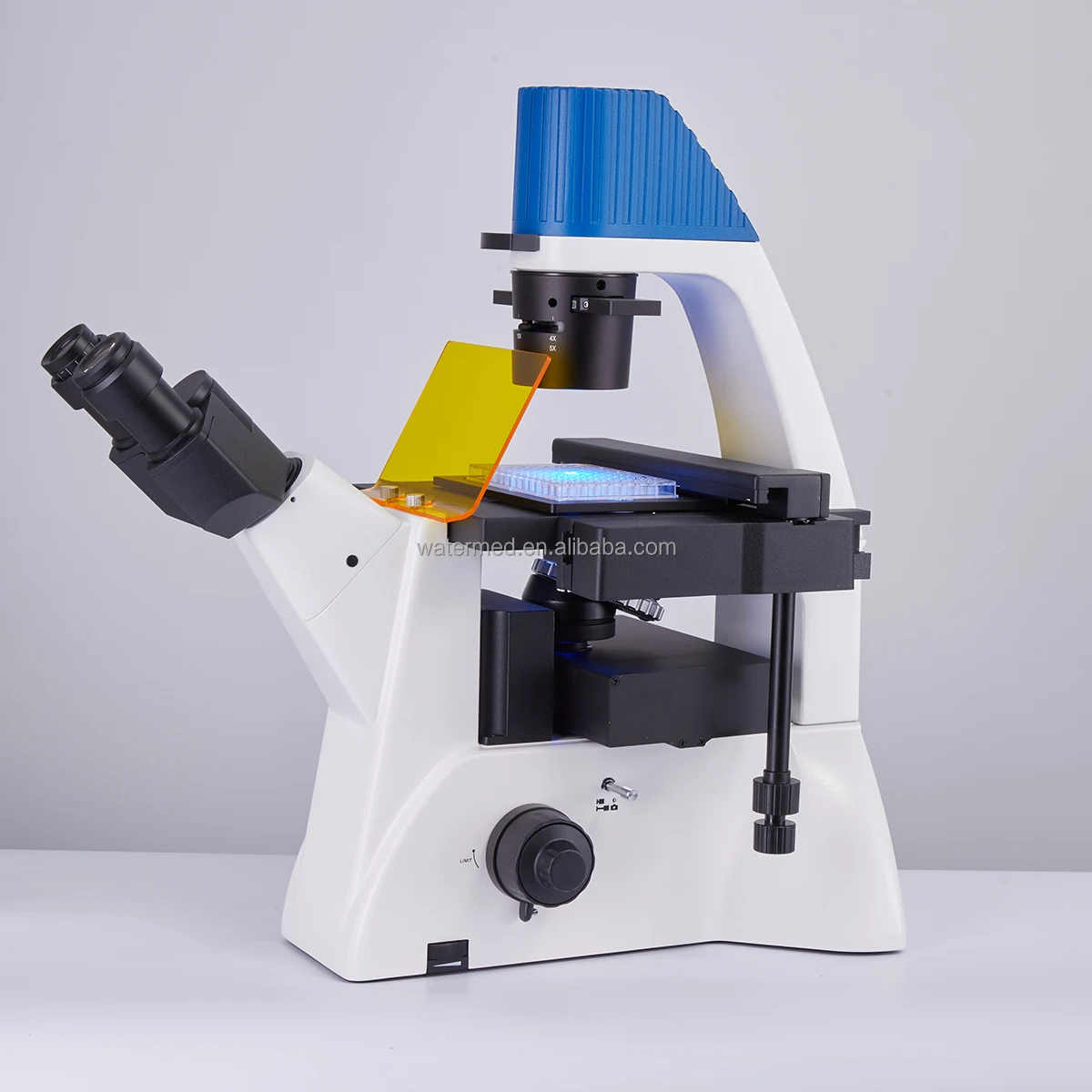 Inverted Fluorescence Microscope with 6.3MP Scmos Camera