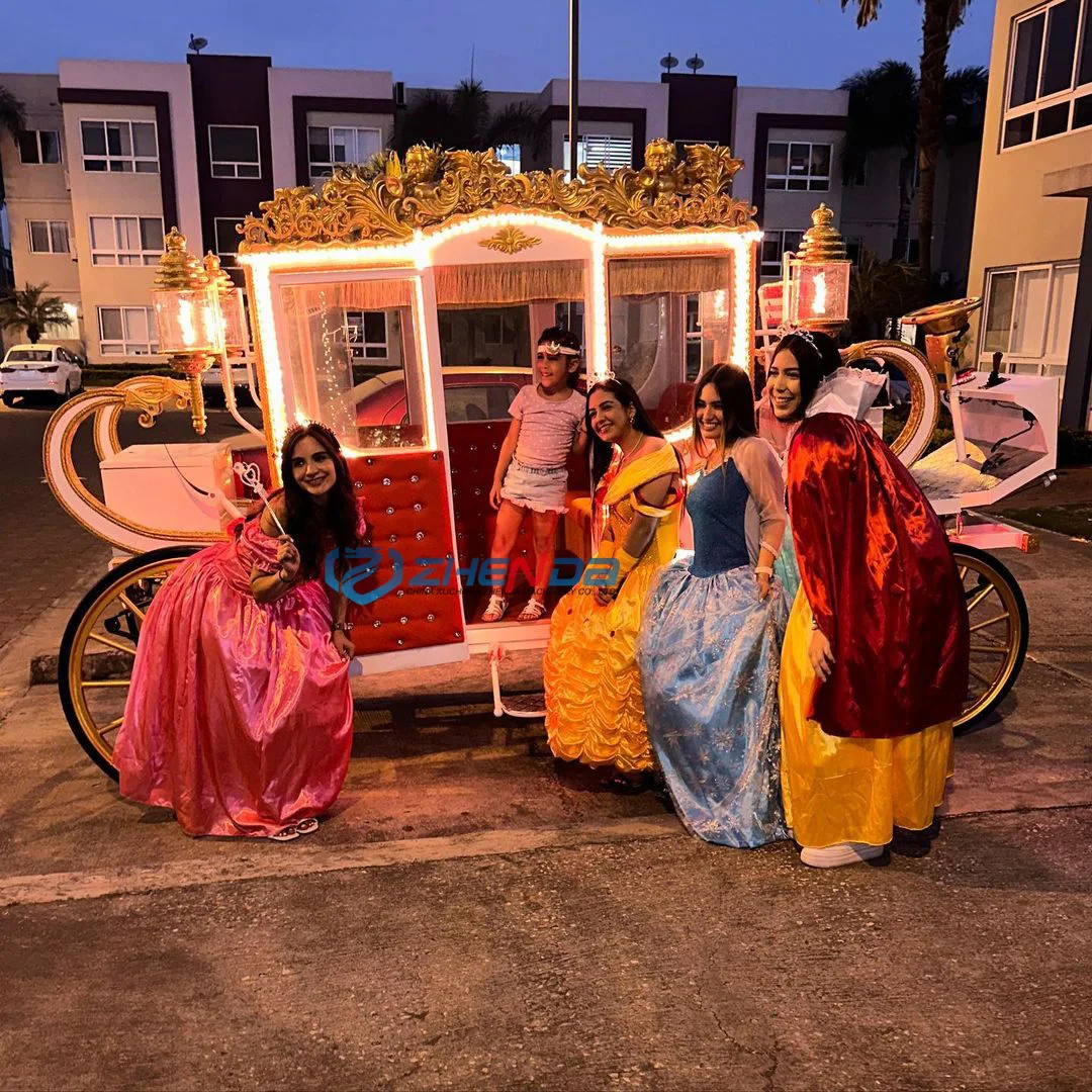 Electric Hearse - Stylish & Durable Funeral Transport