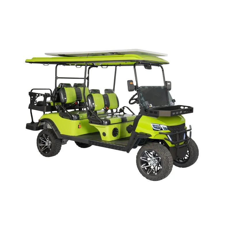 Wintao 72V Lithium Battery Cargo Buggy - 2 Seater Electric UTV