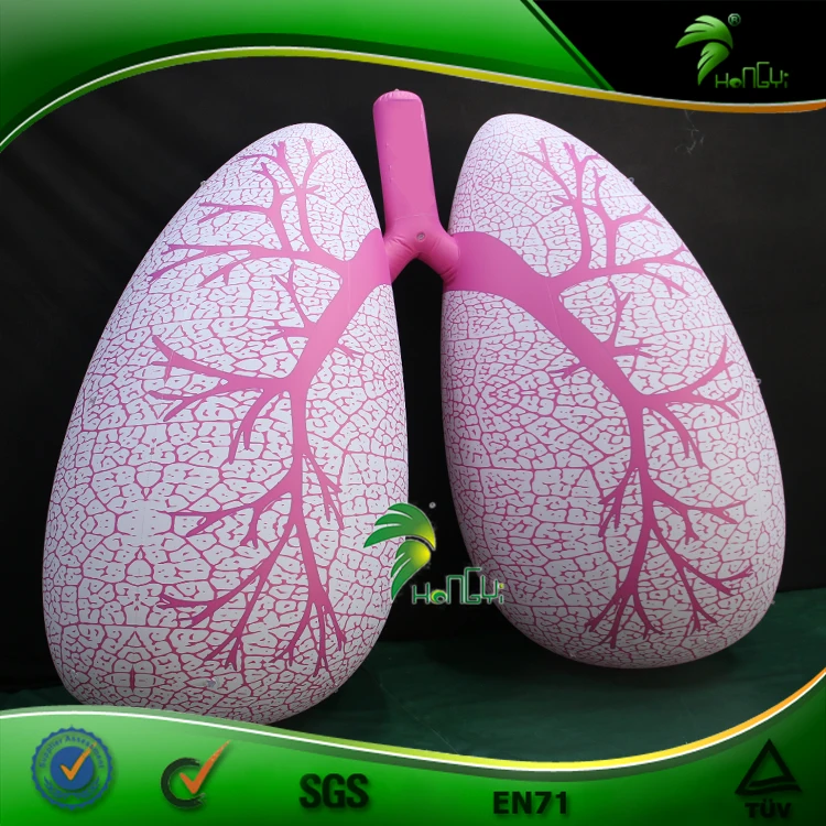 Alibaba.com: Pink Lung Shaped Balloon, Inflatable Organ Model for ...