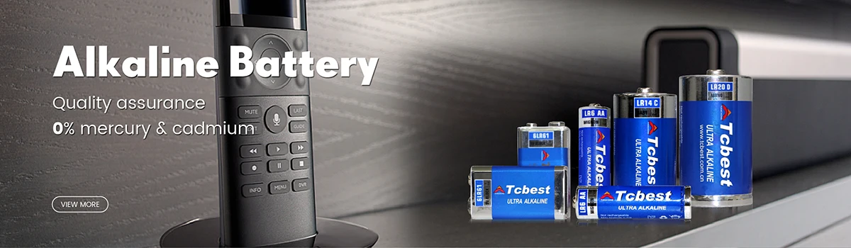 Company Overview - Shenzhen Tcbest Battery Industry Co., Ltd.