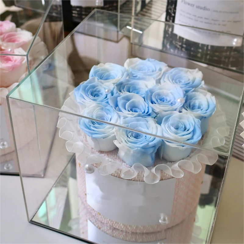 Customized Logo Immortal Infinity Eternal Forever Stabilized Preserved ...