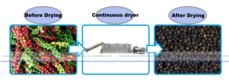 Black Pepper Drying Machine Black Pepper Dryer Automatic Black Pepper ...