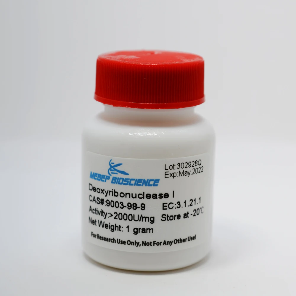 Dnase I Lyophilized Powder,Deoxyribonuclease I - Buy Dnase I,Deoxyribonuclease I,Dnase I ...