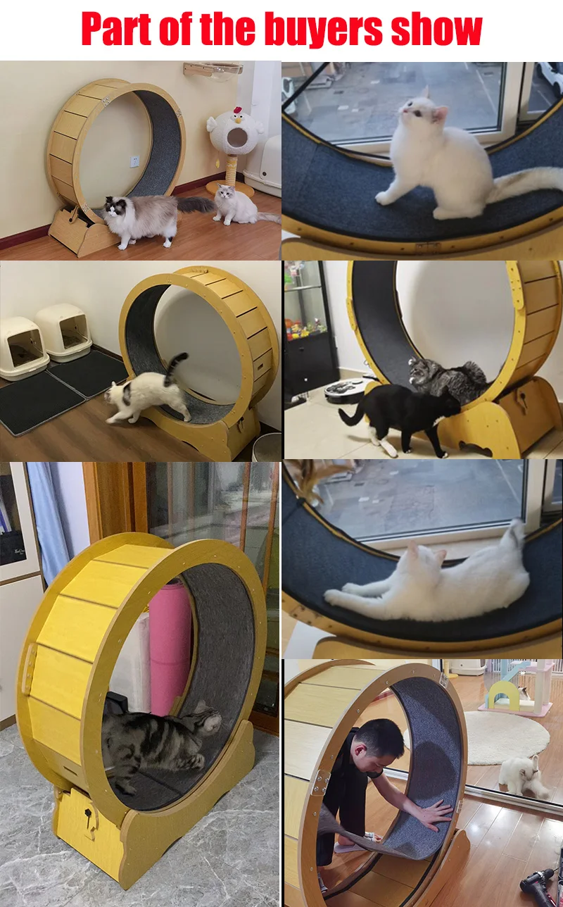 Pet Luxury Cat Wheel Treadmill - High Quality & Silent
