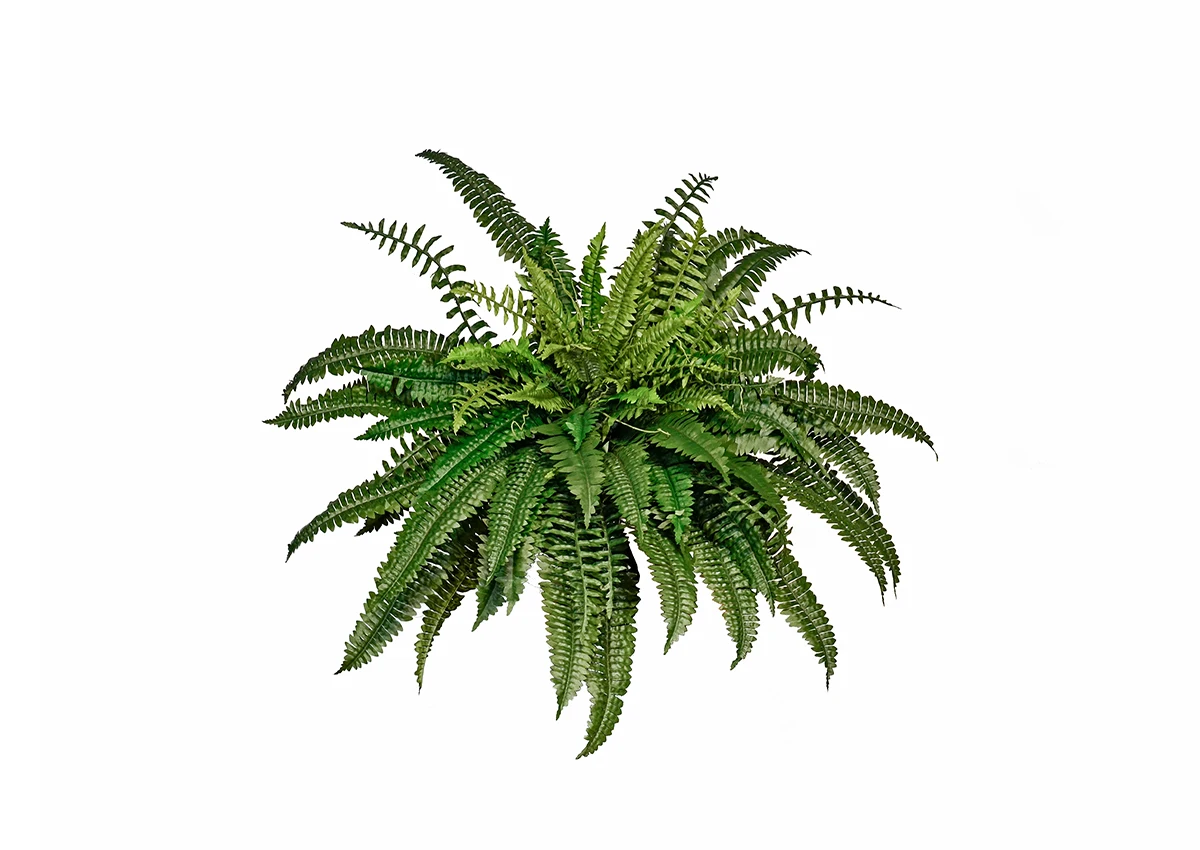 60cm Artificial Leaves Fern Single Branch Faux Boston Grass for Indoor ...