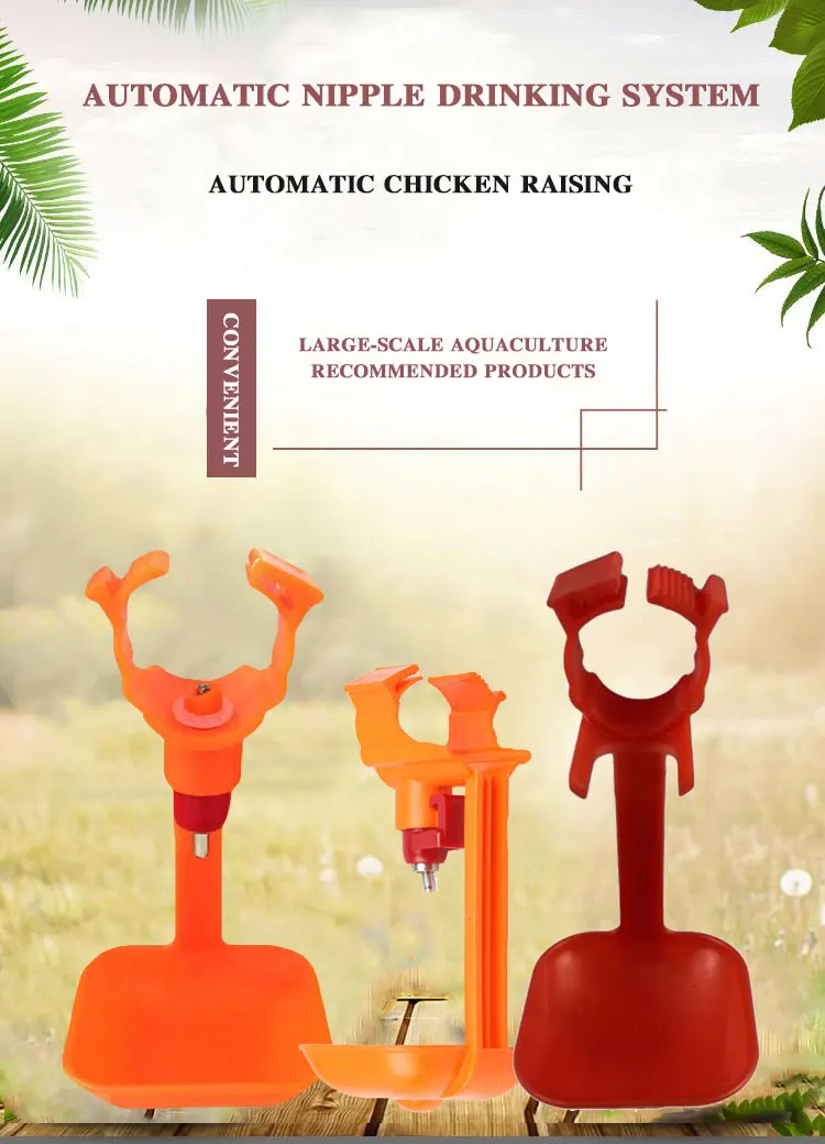 Hot Sale Automatic Chicken Nipple Drinker With Drip Cup Chicken ...