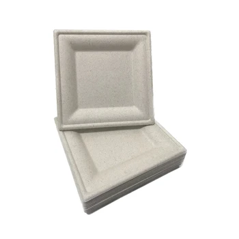 Disposable Bagasse Paper Plates,Heavy-duty Party Plates,100% ...