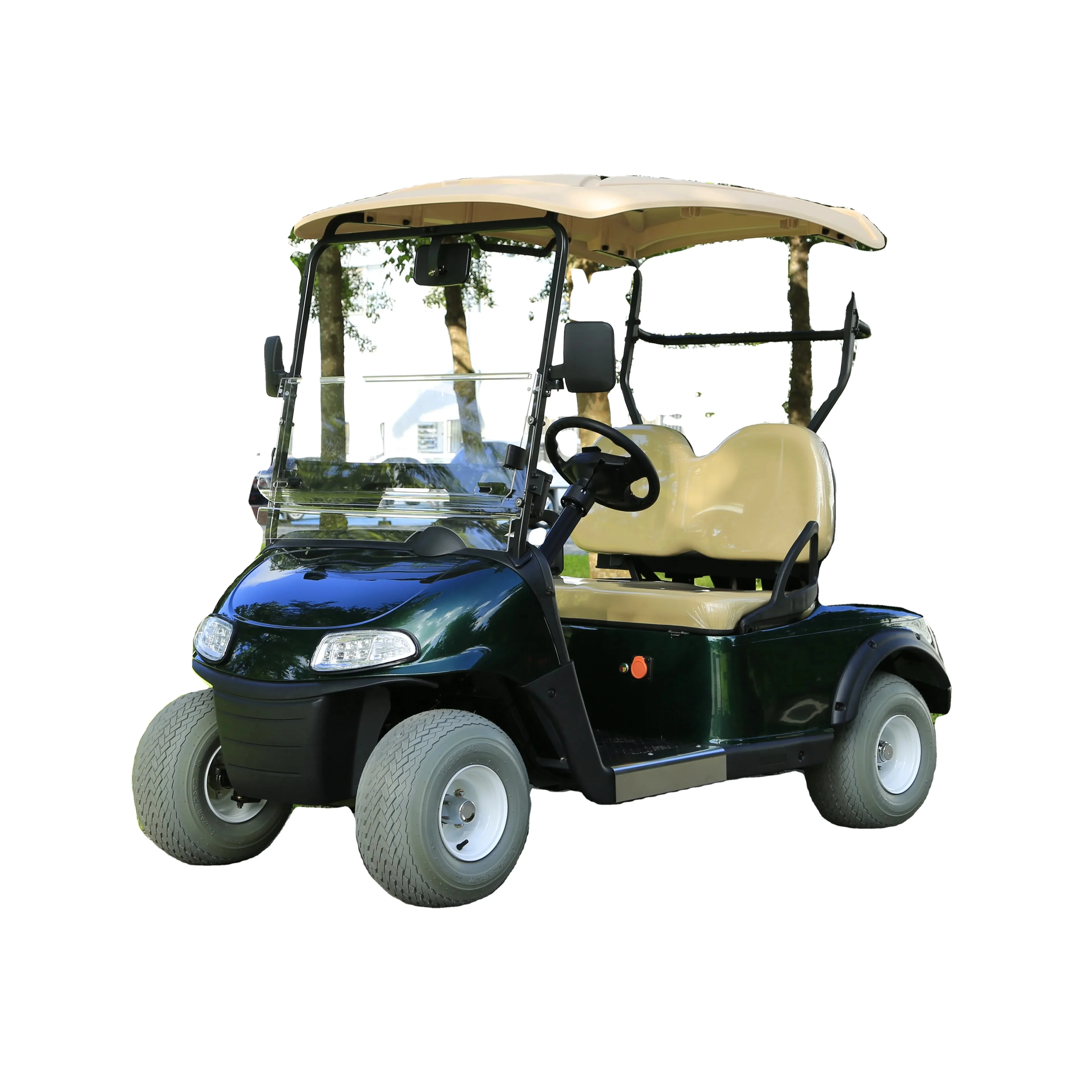 2 Seat Mini Electric Golf Cart Gel Battery Curits Controller Golf Buggy ...