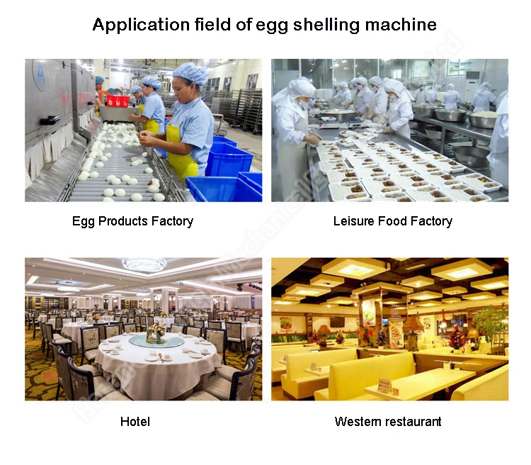 Commercial Chicken Hand Quail Sheller Egg Peeler For Hard Boiled Eggs ...