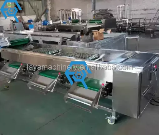 2 Levels Blueberry Classification and Sorting Machine Conveyor Belt with Holes| Alibaba.com