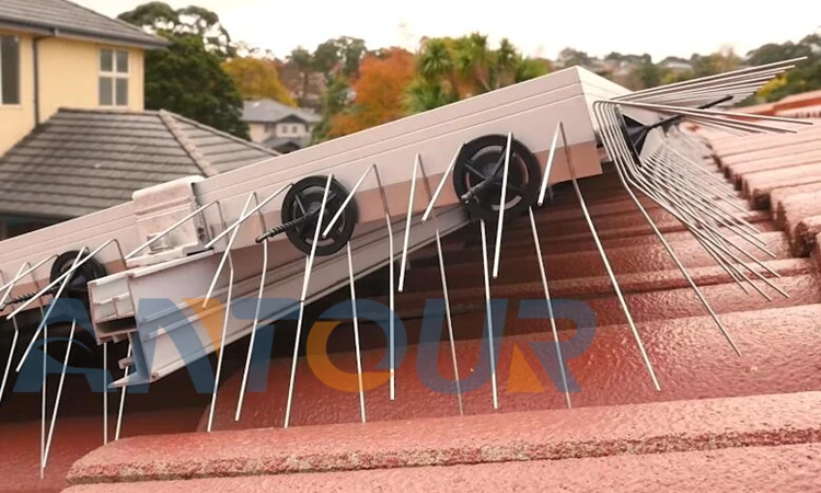 Eaves Swallow Spikes Stainless Steel Base and Throns Anti Bird Pigeon ...